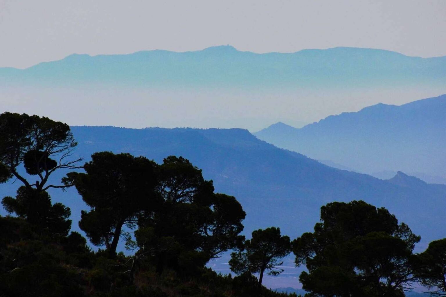 Documentales con responsabilidad social de la mano de Biocine ...