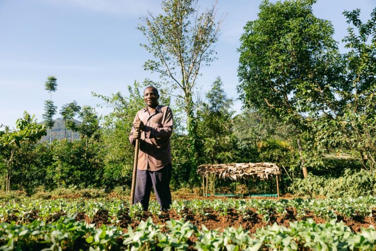 Smoking Paper contribuye a la plantación de 245.922 árboles - Cantabria ...